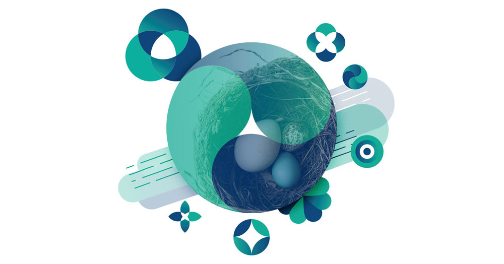 Mixed Asset Portfolios